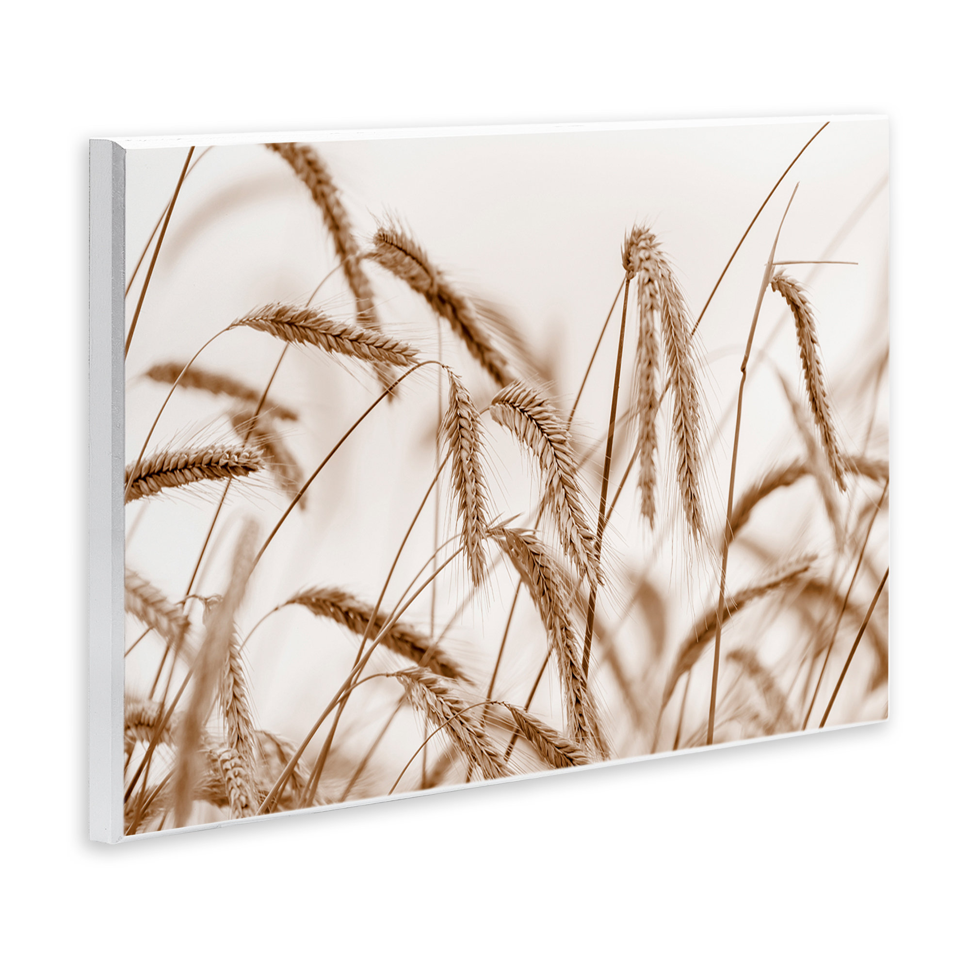Ebern Designs Windswept Wheat Sprigs Wall Plaque Art by Nancy Crowell ...