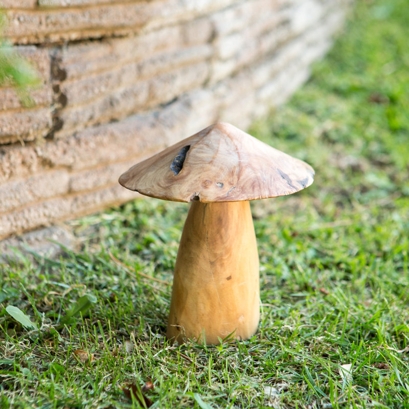 Arlmont & Co. Tea Tree Root Mushroom - Large | Wayfair