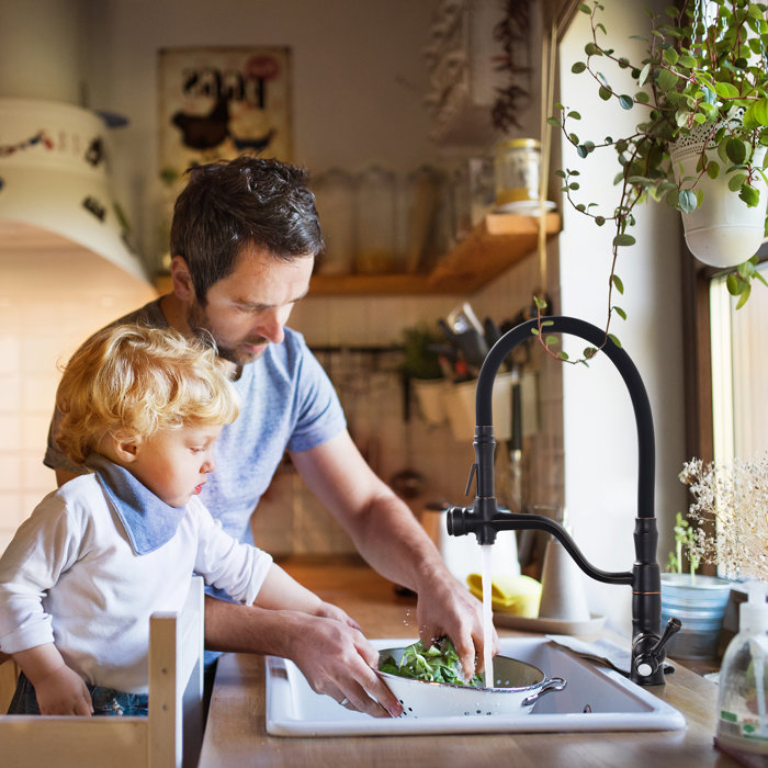 Aleasha Pull Down Touch Kitchen Faucet | Wayfair