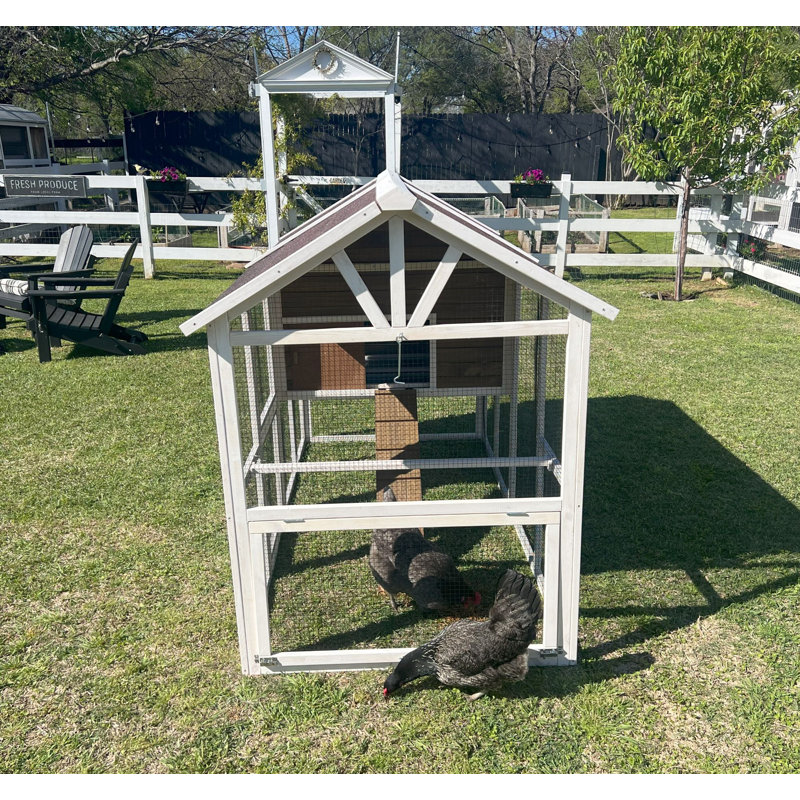 Zylina 24 Square Feet Chicken Coop with Nesting Box For Up To 8 ...