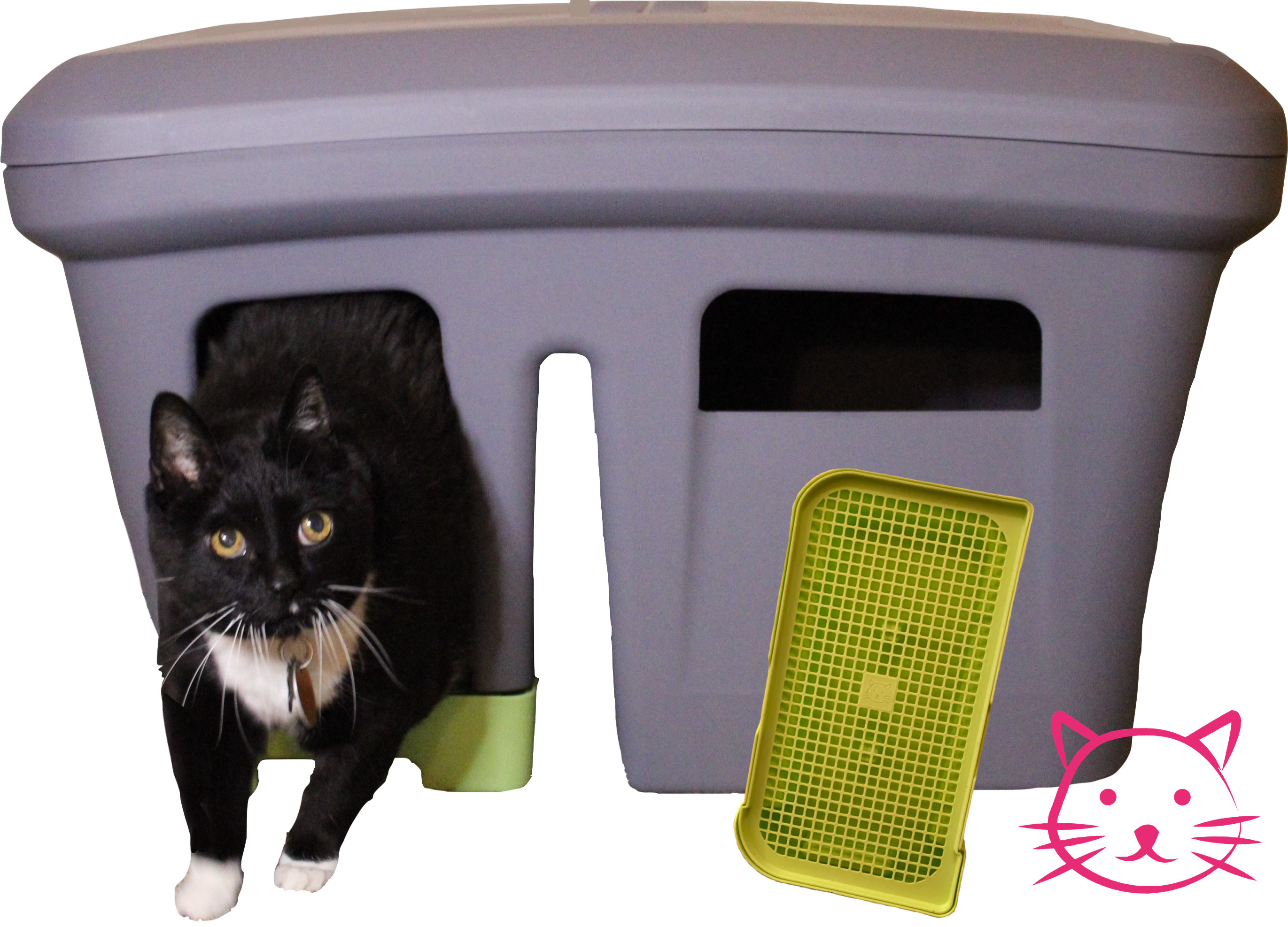 Tucker Murphy Pet™ Tillis Plastic Enclosed Standard Litter Box ...