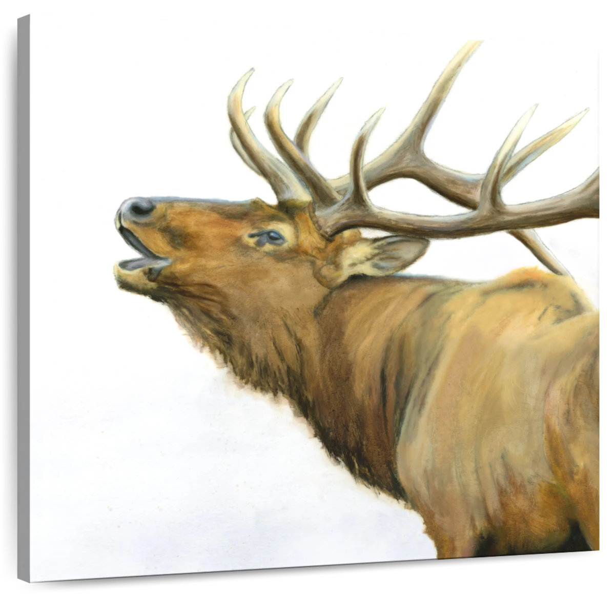 Ebern Designs Brampt Majestic Elk Brown Crop | Wayfair