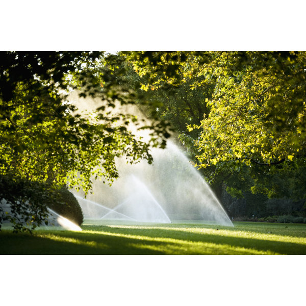 Alpen Home Lawn Watering Spray by Pgiam - No Frame Art Prints on Canvas ...
