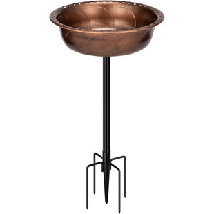 Bird Baths You'll Love | Wayfair