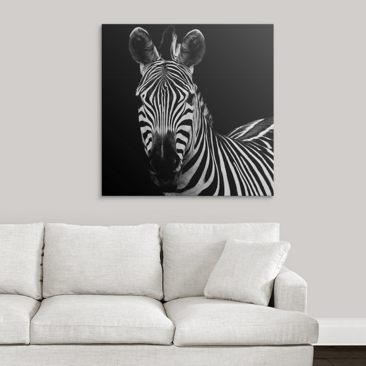 Ebern Designs 'Zebra II Square' by Debra Van Swearingen Photographic ...