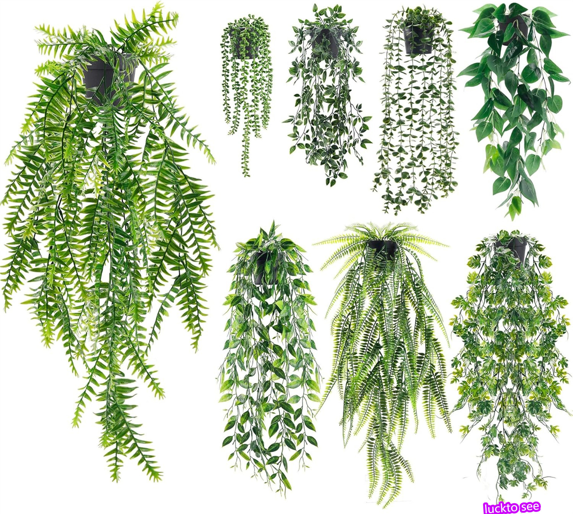 Arlmont & Co. Boston Fern, String of Pearls for Home Room Wall Shelf ...