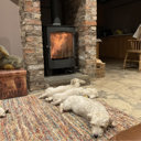 Fernleaf Brackley Rost Rust Rug & Reviews | Wayfair.co.uk