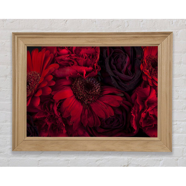 Bright Star Red Dying Flowers - Single Picture Frame Art Prints ...