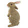 Design Toscano Hopper, the Bunny Garden Statue & Reviews - Wayfair Canada