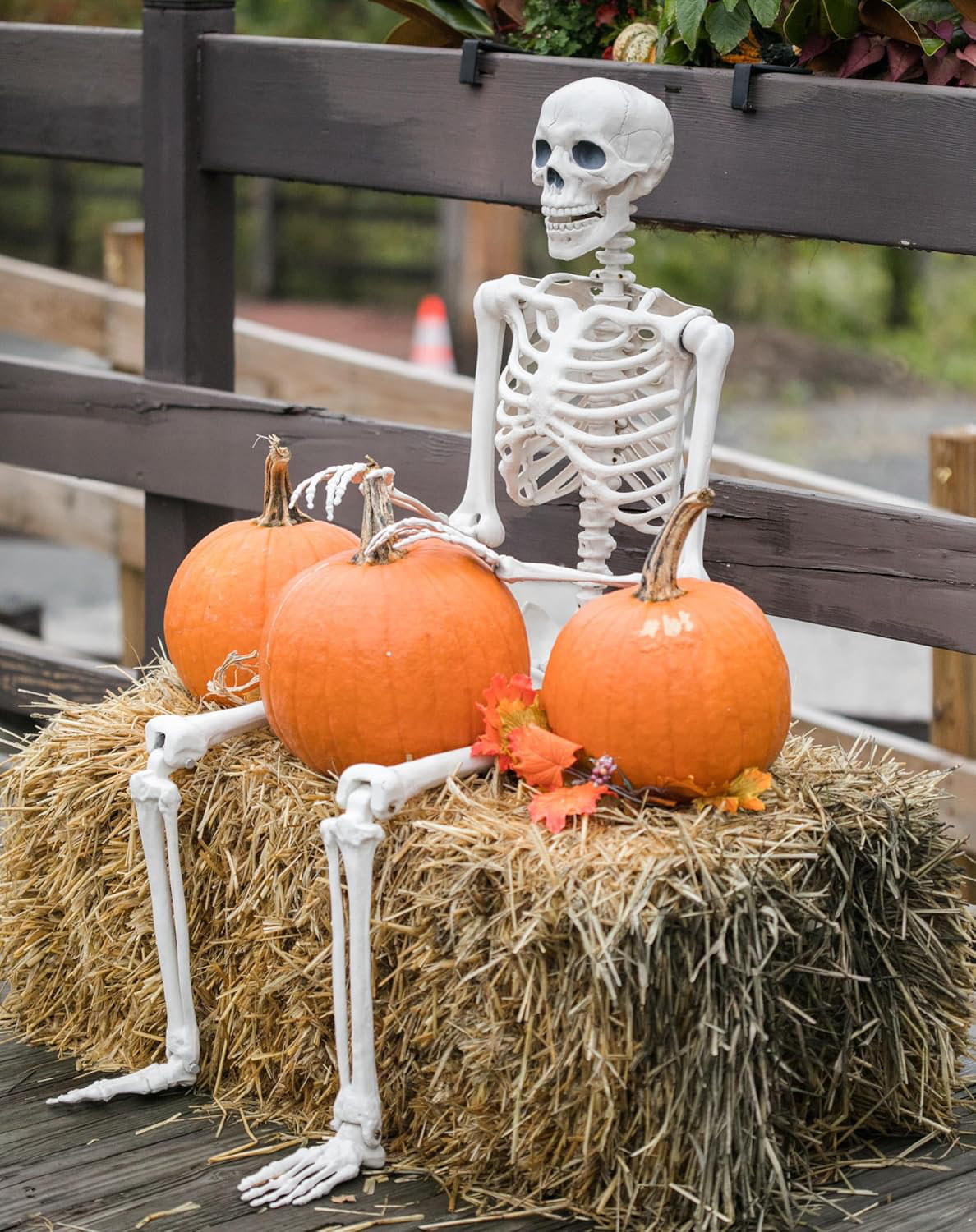 The Holiday Aisle® Halloween Decorations Skeleton, 2.95 FT Life Size ...