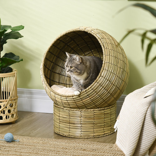 Wayfair | Elevated Cat Beds You'll Love in 2023
