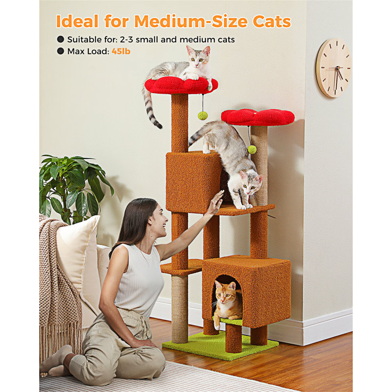 Archie & Oscar™ Cat Tree, 52.4" Cat Tree Tower For Indoor Cats, Cute ...