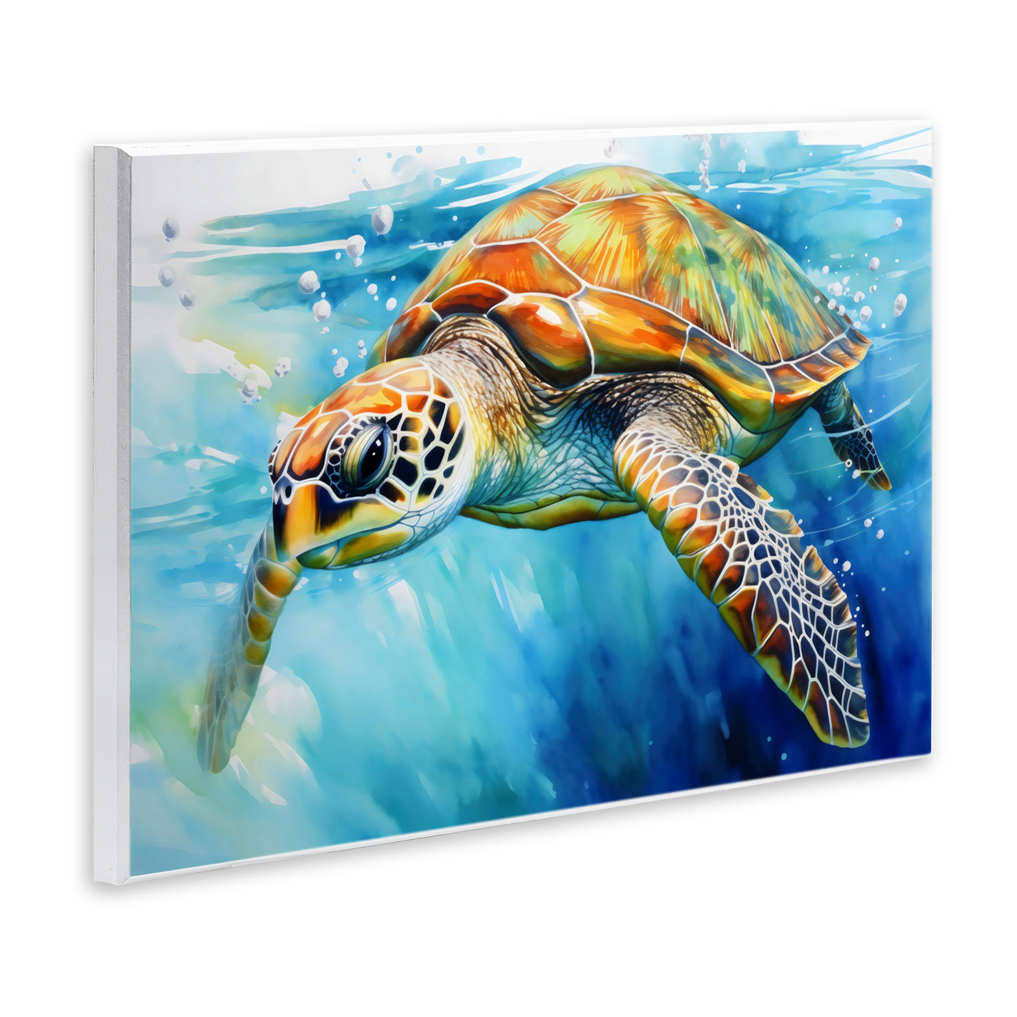 Rosecliff Heights Graceful Swimmer Tortoise Wall Plaque, design by ...