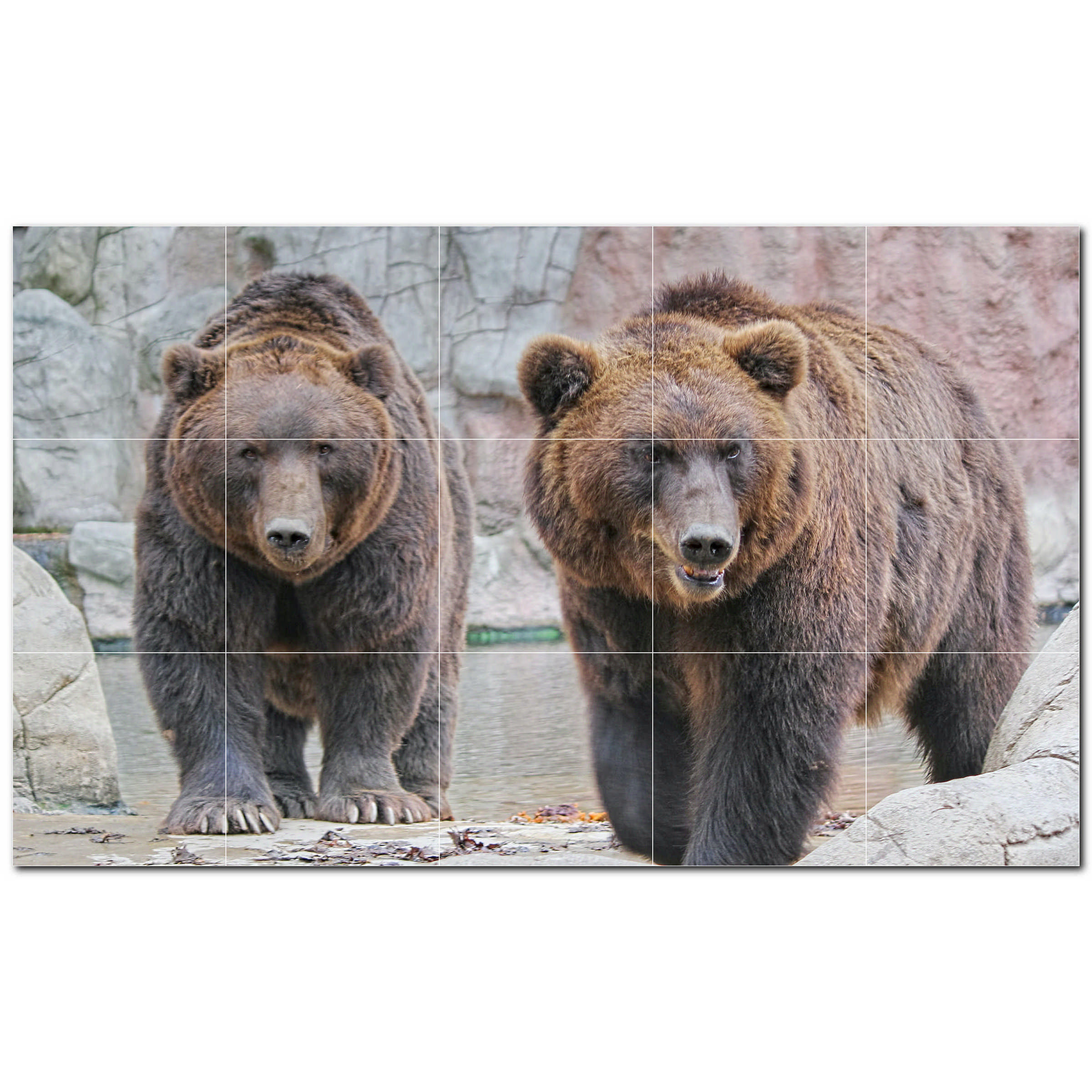 Picture-Tiles.com 40" x 24" Ceramic Bear Photo Decorative Mural Tile ...