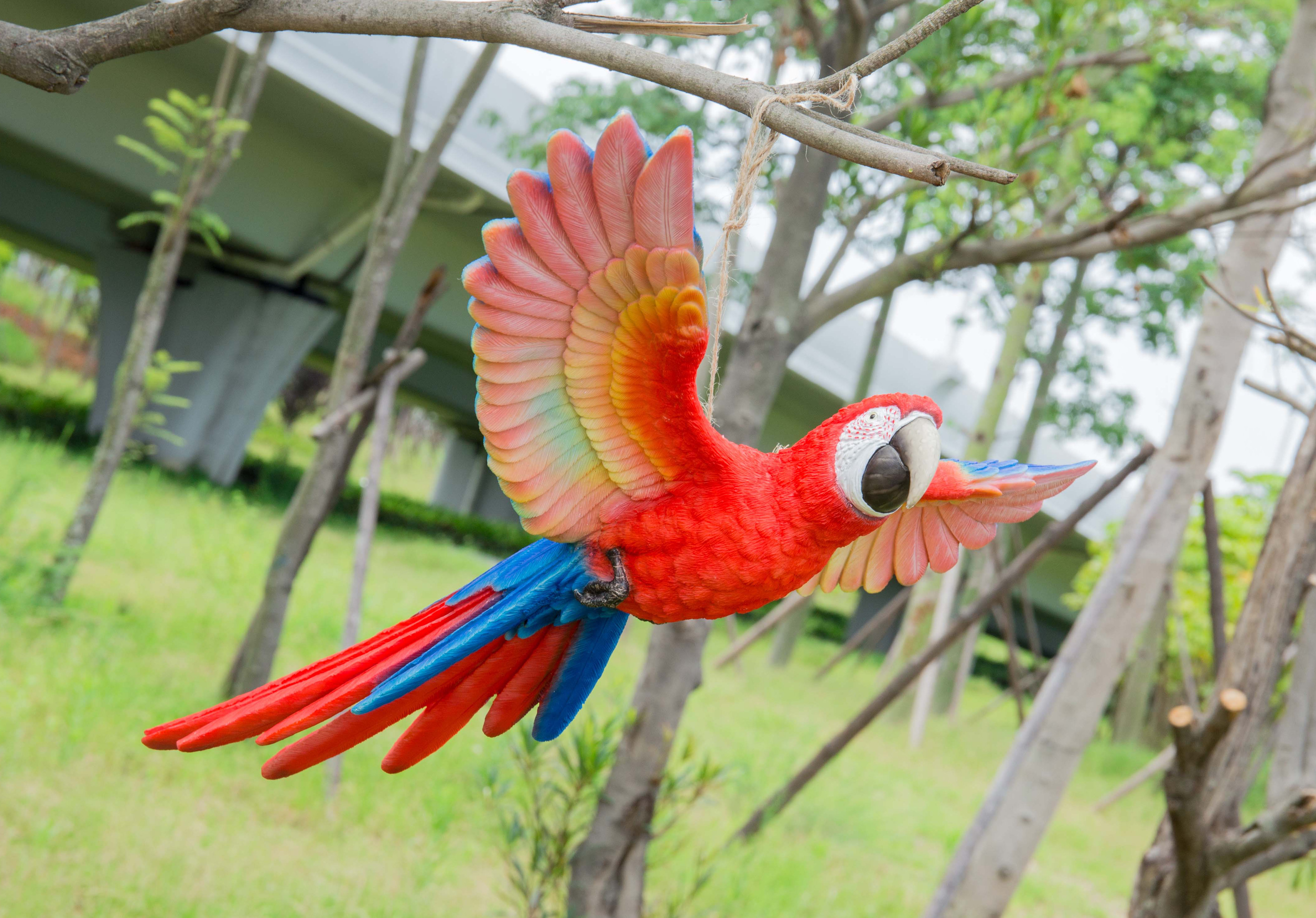 Hi-Line Gift Ltd. Scarlet Parrot Flying Statue & Reviews - Wayfair Canada