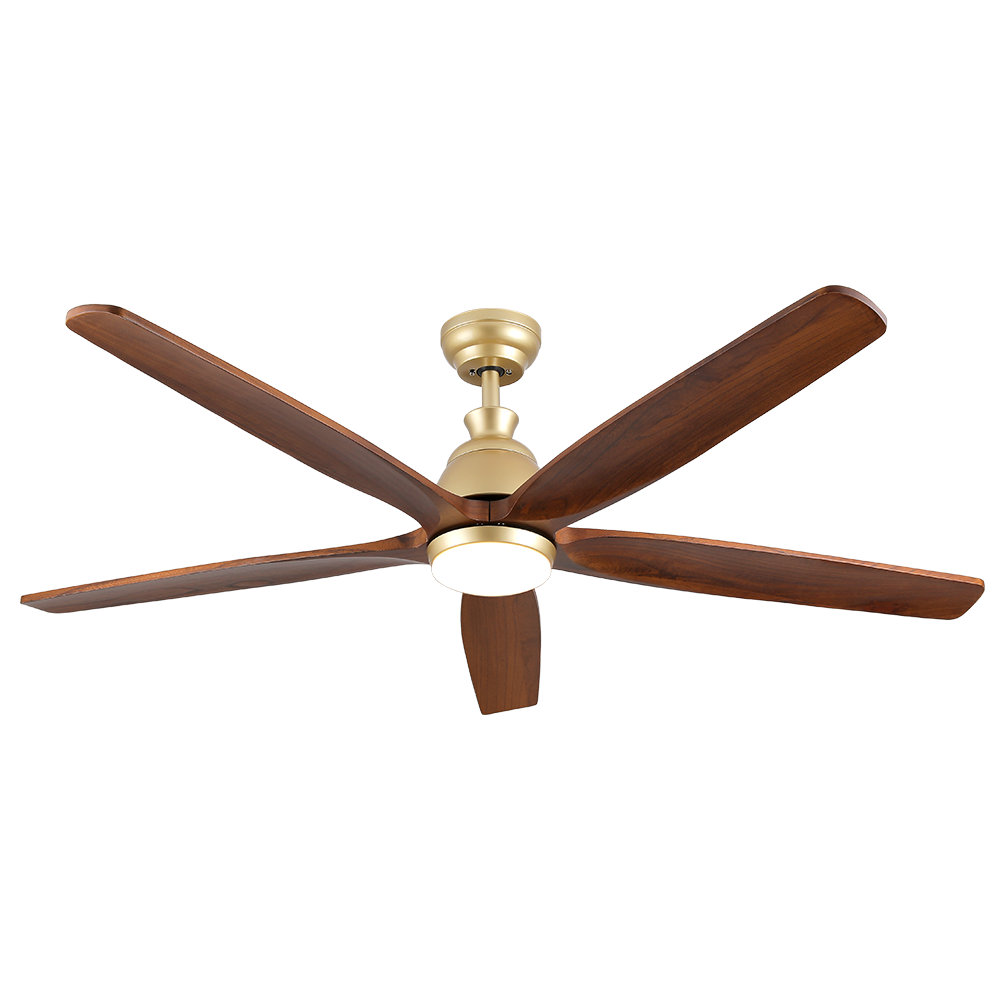 Ivy Bronx Lovonza Modern Indoor Ceiling Fan 5 Blade LED Light Remote ...