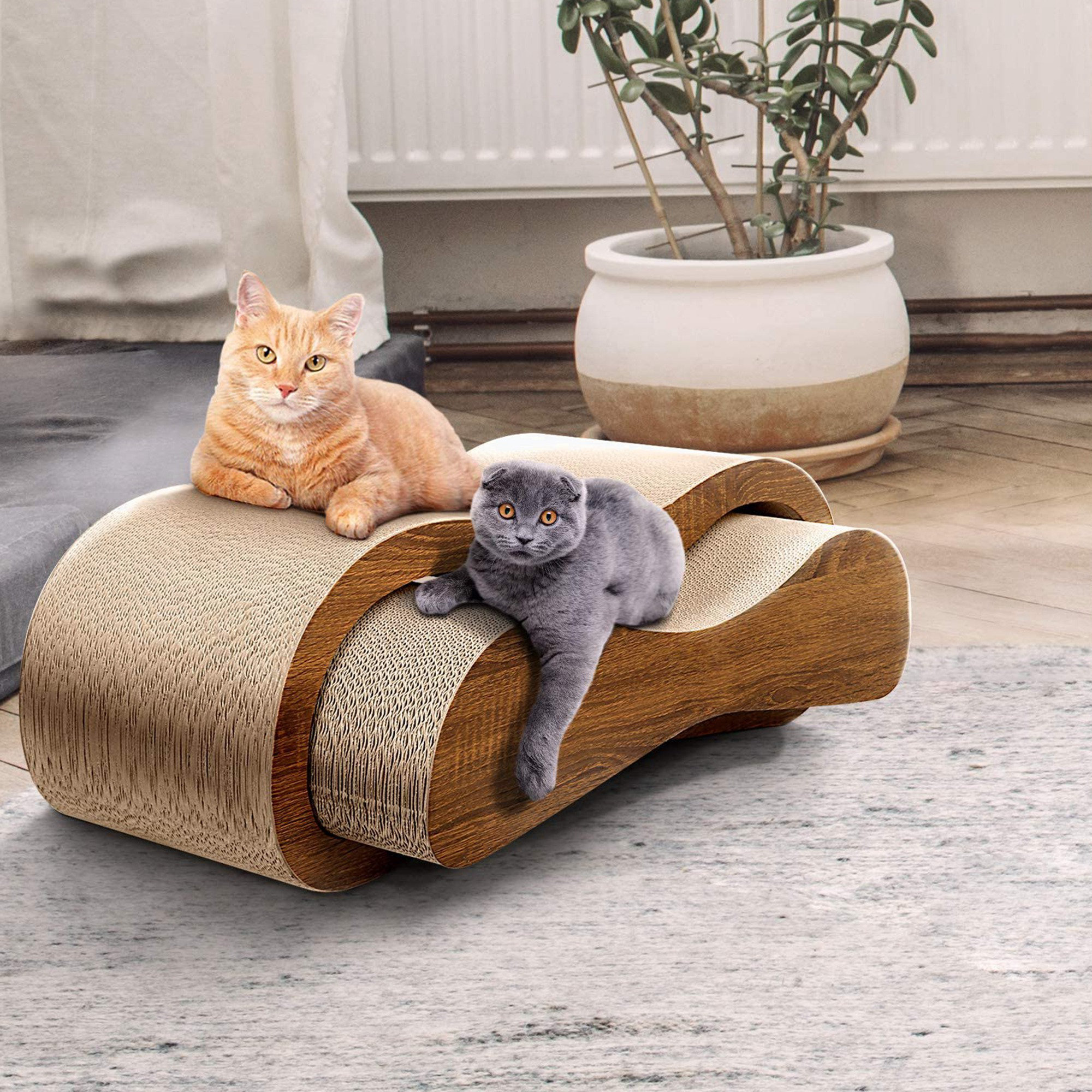Tucker Murphy Pet™ Drusila Cat Scratching Board & Reviews | Wayfair