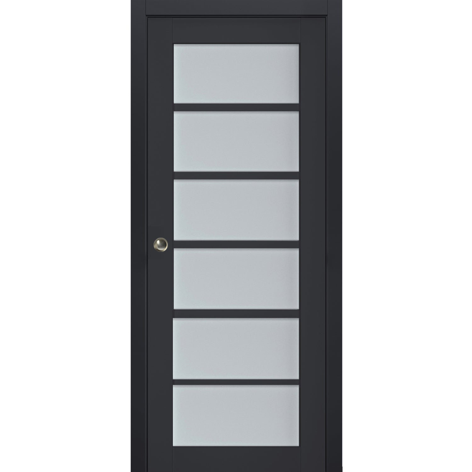 SARTODOORS Veregio Frosted Glass Paneled Wood Sliding Closet Door | Wayfair
