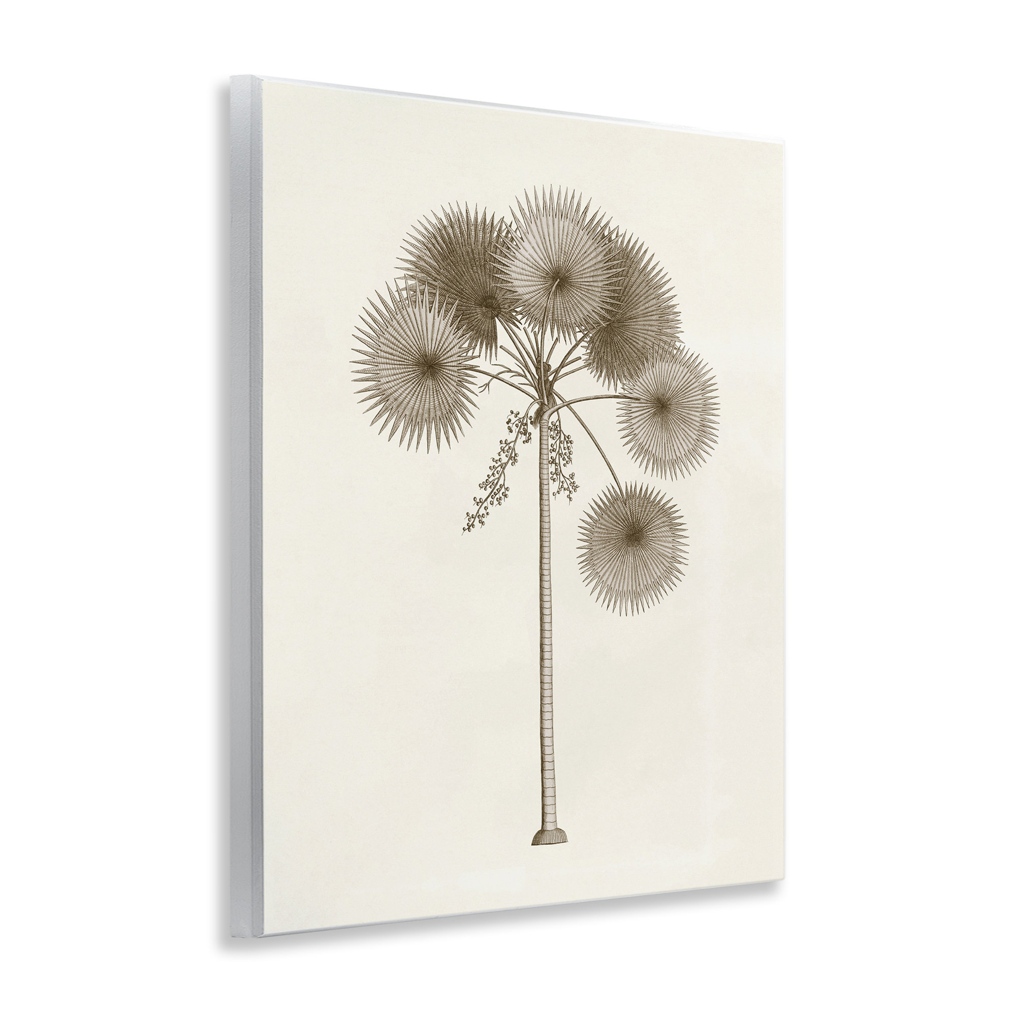 Ebern Designs Vintage Study of Palm Tree Wall Plaque, design by ...