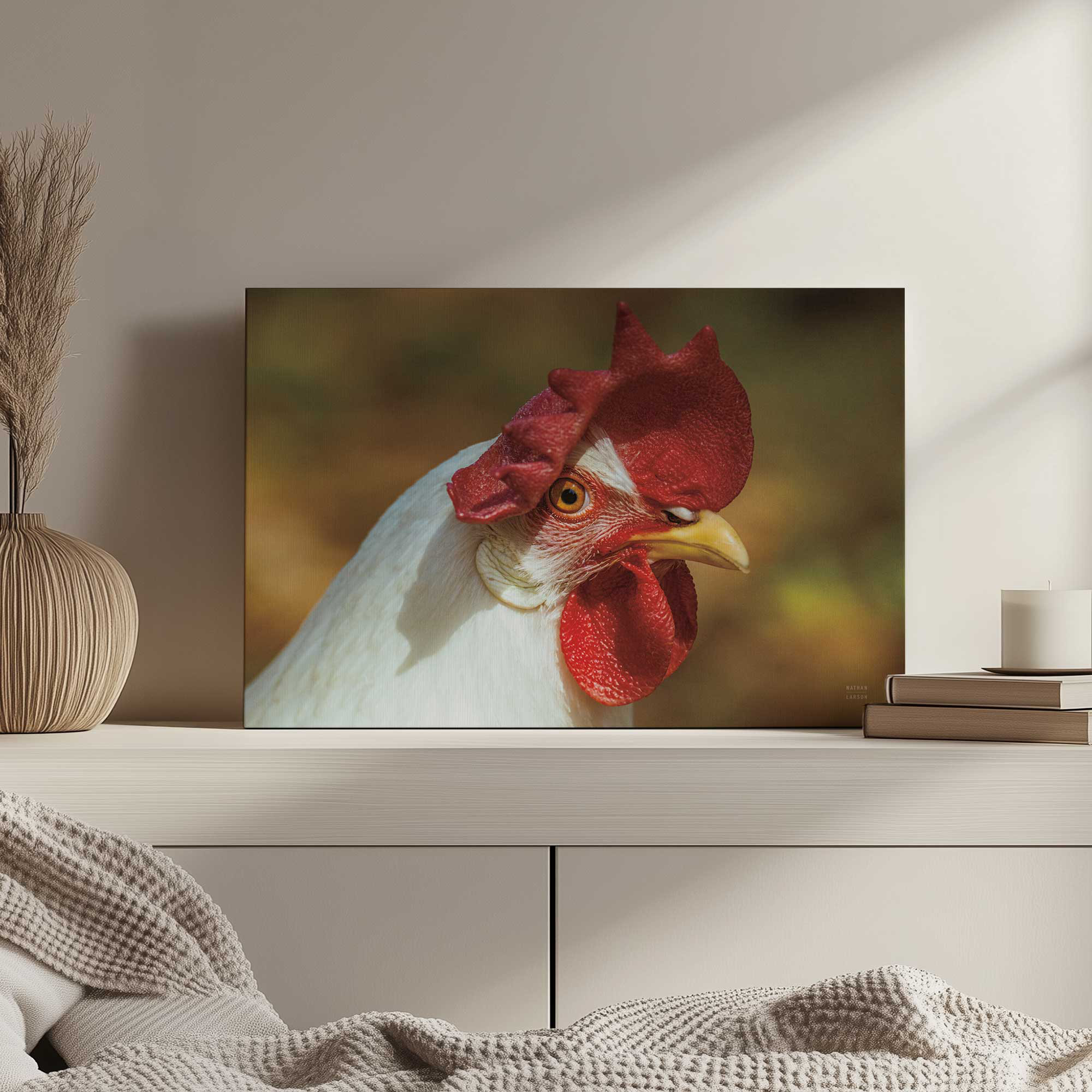 Ophelia & Co. Chicken in the Sun I by Nathan Larson Canvas Art Print ...
