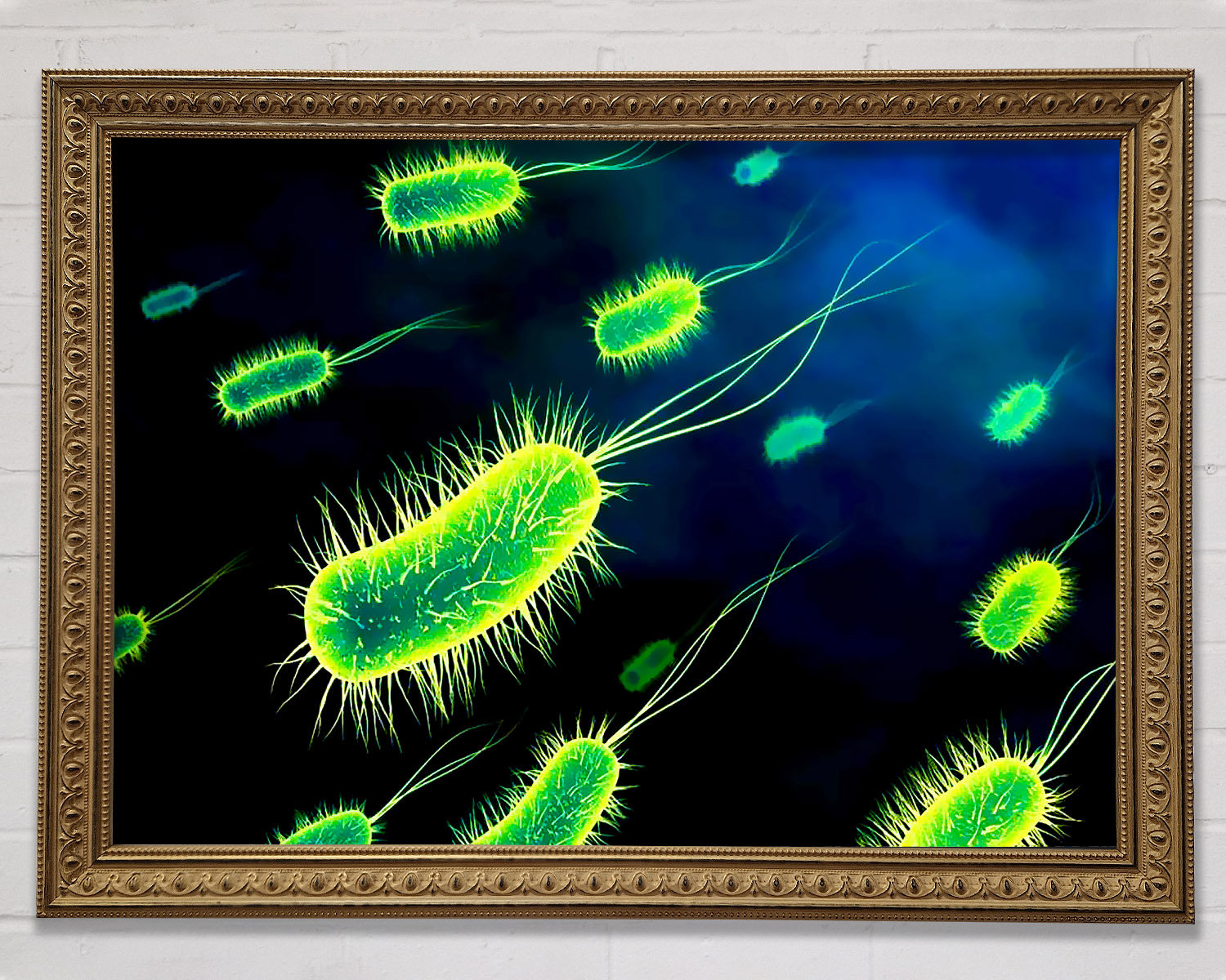 Bright Star Manifestation Framed Print | Wayfair.co.uk