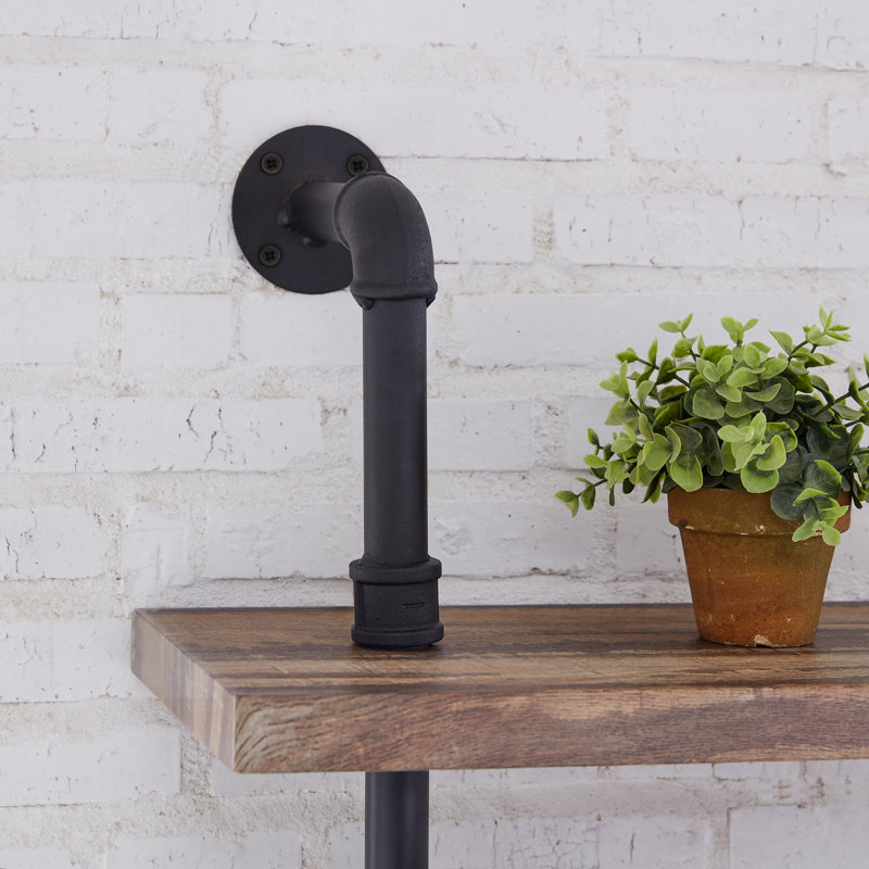 Steelside™ Charter Iron Pipe Wall Mount Ladder Bookcase & Reviews | Wayfair