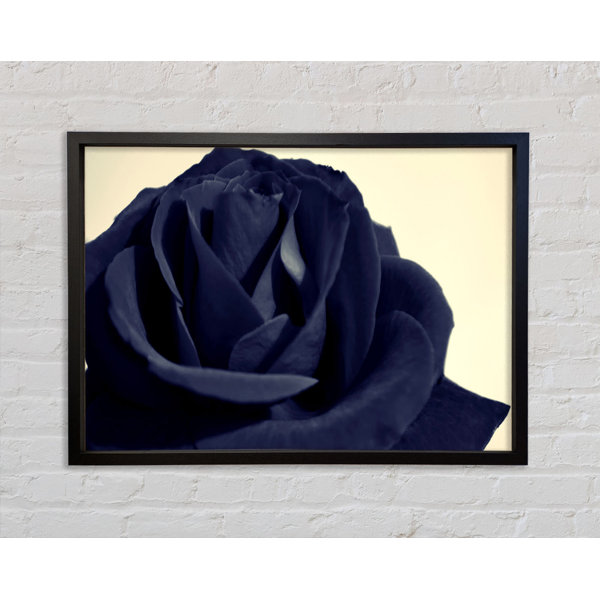 Ebern Designs Black Blue Rose - Single Picture Frame Art Prints on ...
