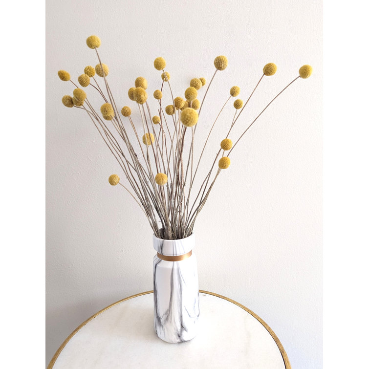 Primrue Preserved Billy Buttons Arrangement in Vase - Wayfair Canada