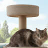Tucker Murphy Pet™ Beige Large Cat Tree Indoor Multi-Level Climbing ...