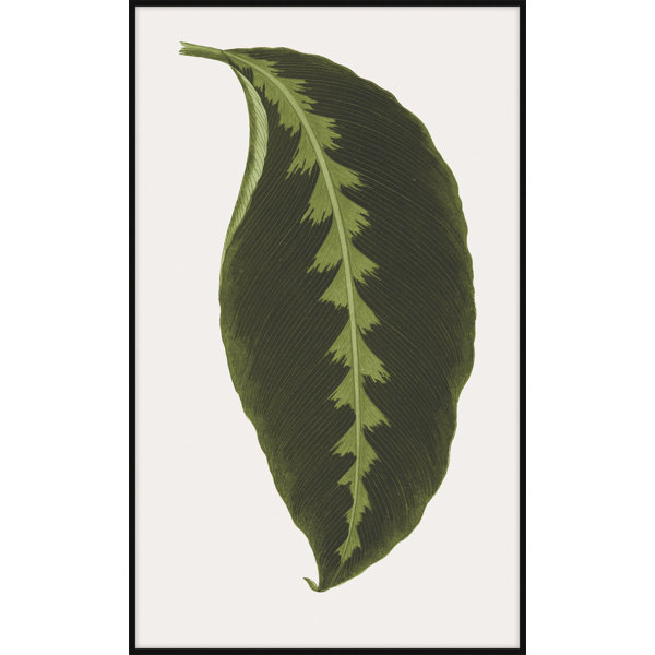 Art House Studios Neoteric Trace Green 3 by Art House Studios | Perigold