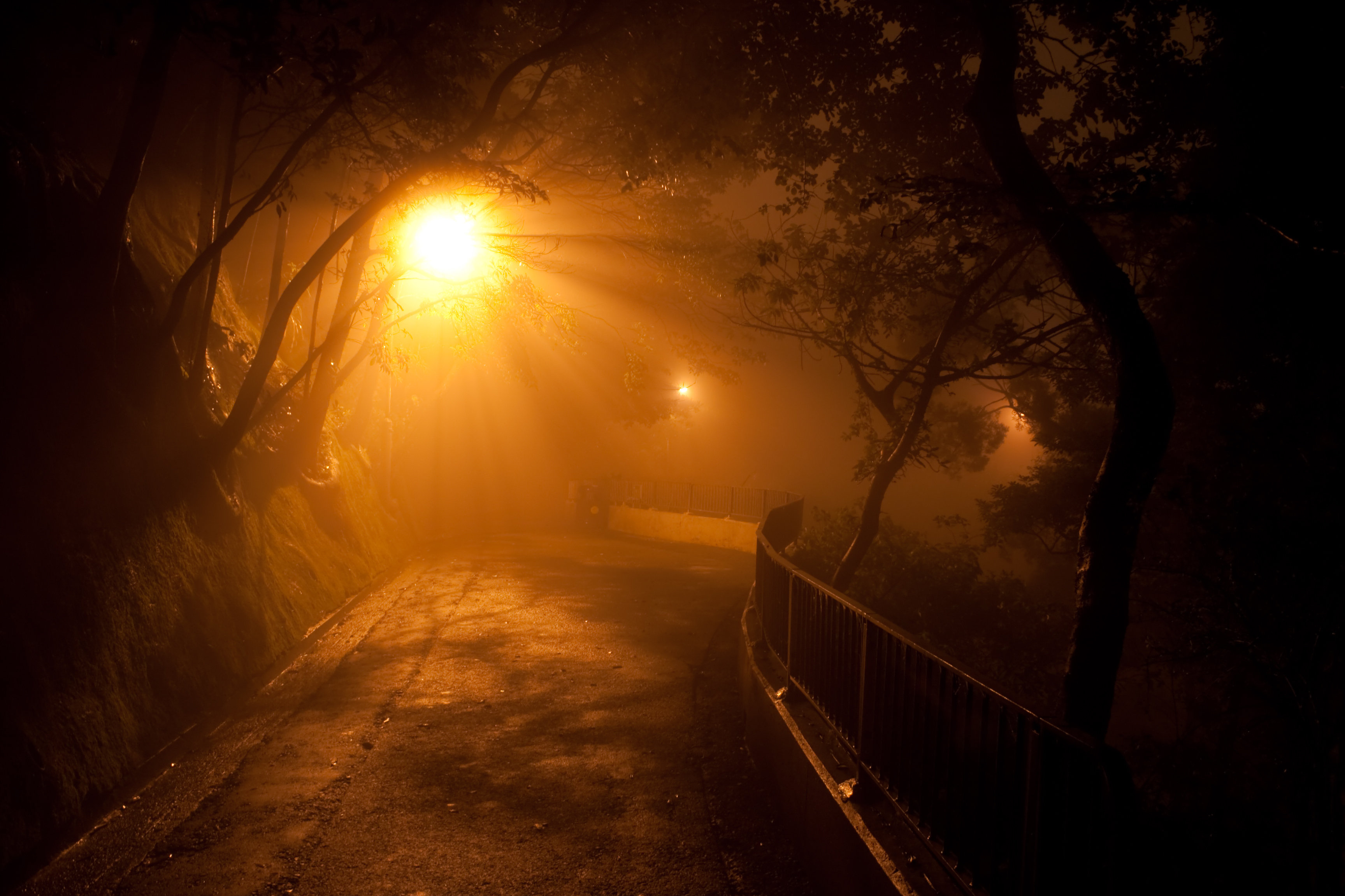 Millwood Pines Street Light Road - Wrapped Canvas Photograph | Wayfair