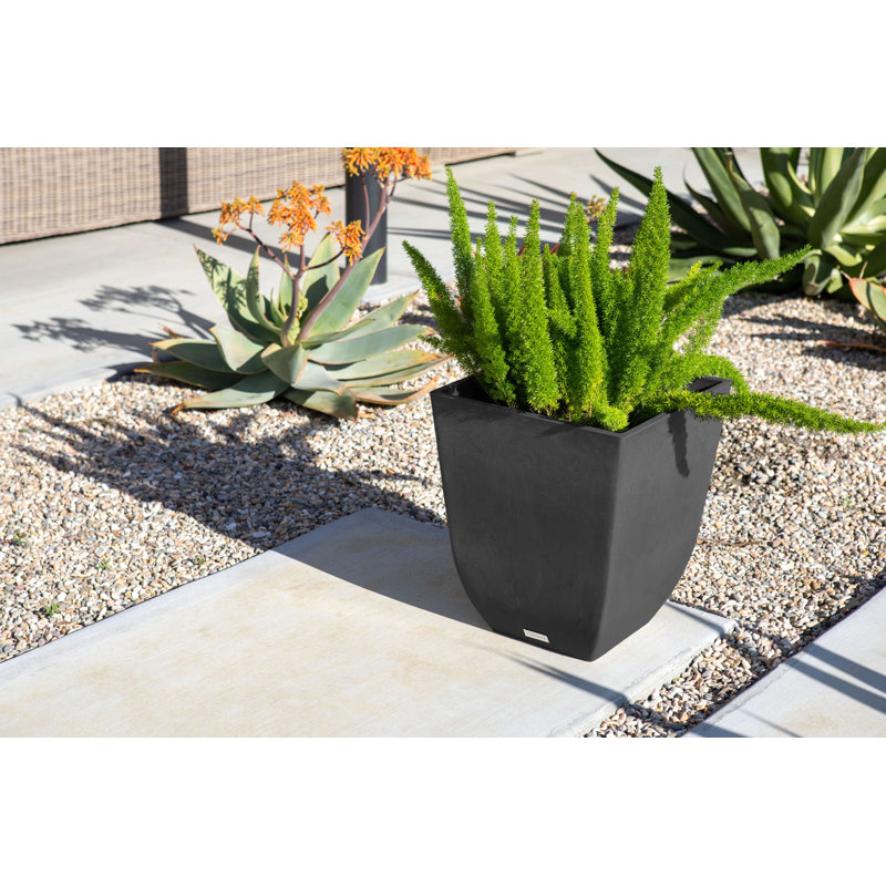Veradek Pure Series Pot Planter & Reviews | Wayfair