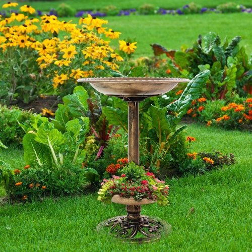 Wayfair | Bird Baths You'll Love in 2024