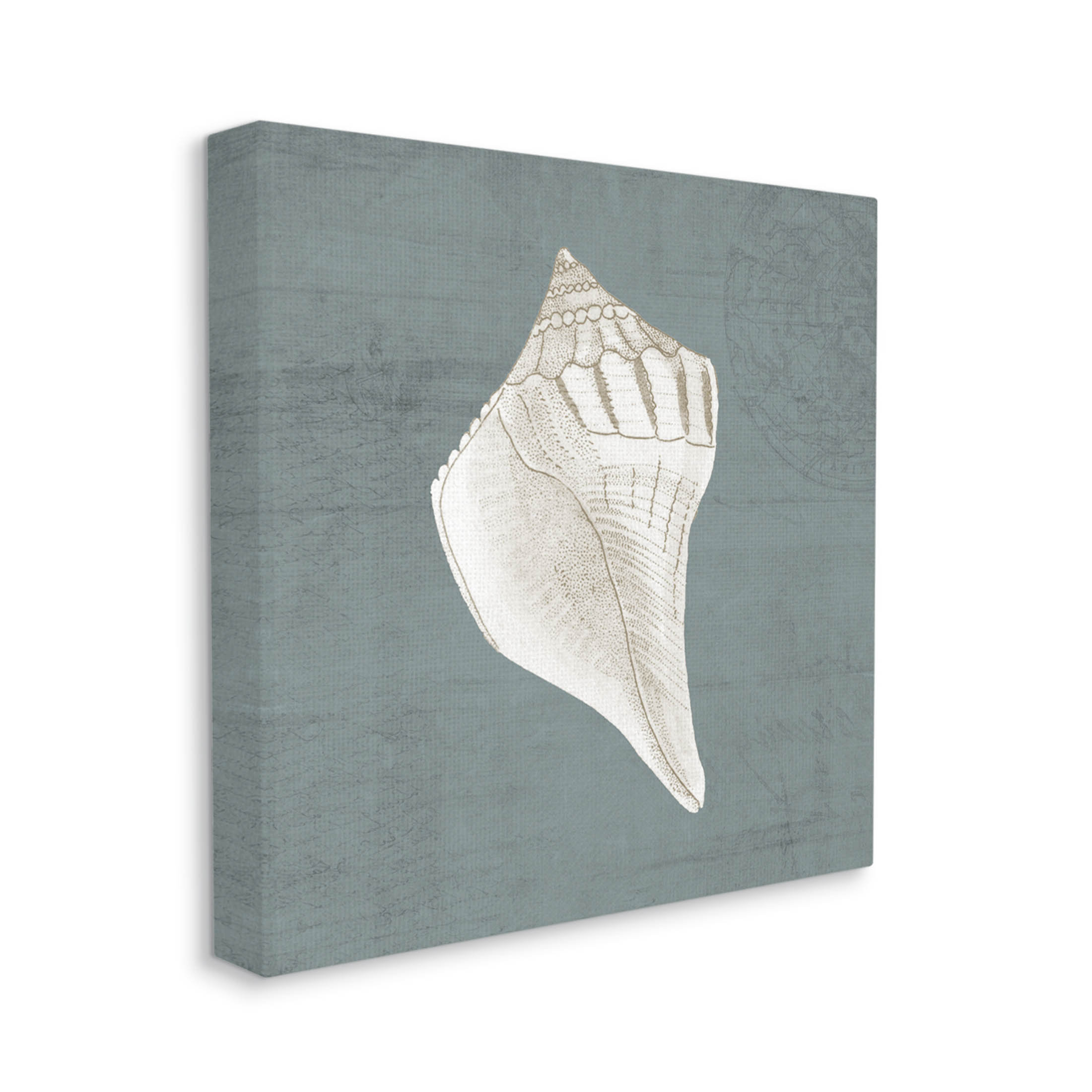 Stupell Industries Conch Seashell Stipple Pattern Canvas Wall Art By ...