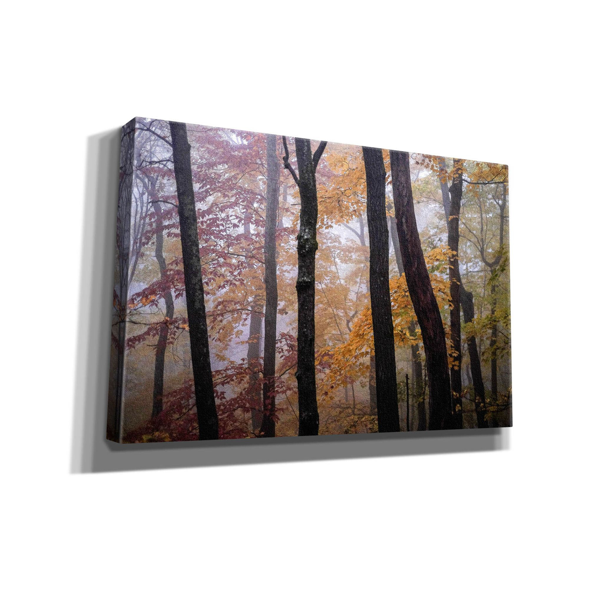 Millwood Pines Azraf Rainy Day Cooper Lake On Canvas by Kelly Sinclair ...