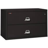 FireKing Fireproof 2 -Drawer Steel File Cabinet | Wayfair