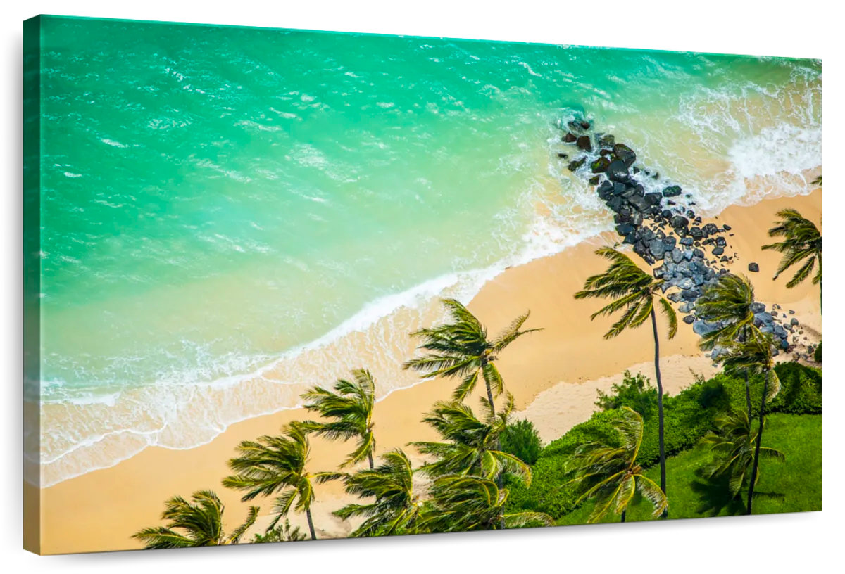 Bay Isle Home™ Windy Maui Beach | Wayfair