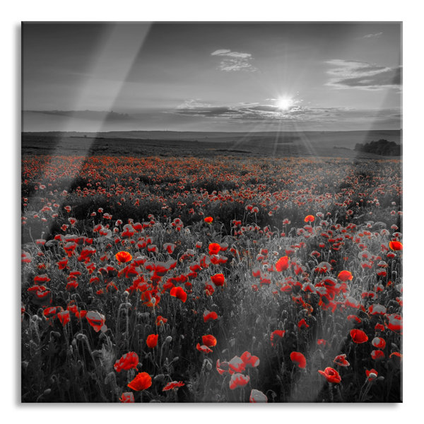 Ebern Designs Great Poppy Field - No Frame Print on Glass | Wayfair.co.uk