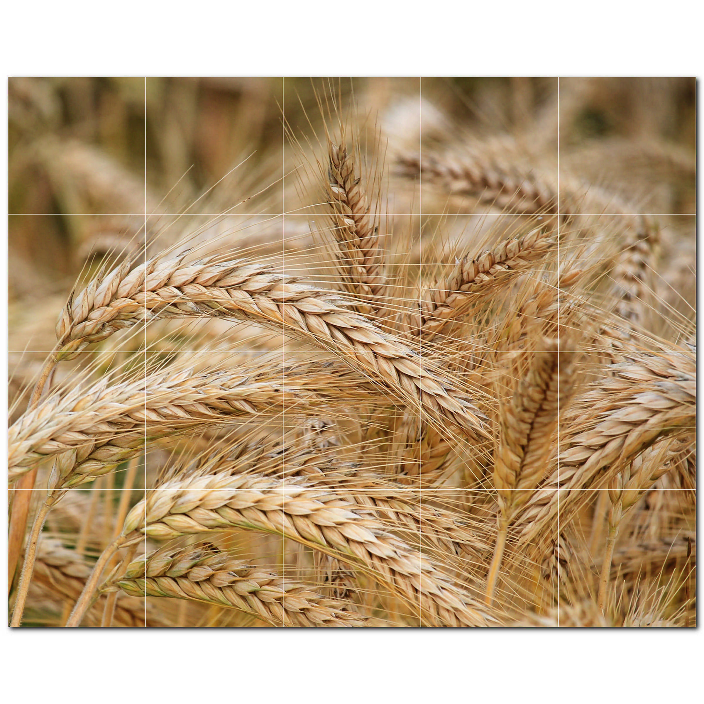 Picture-Tiles.com 21.25" x 17" Ceramic Farm Photo Decorative Mural Tile ...