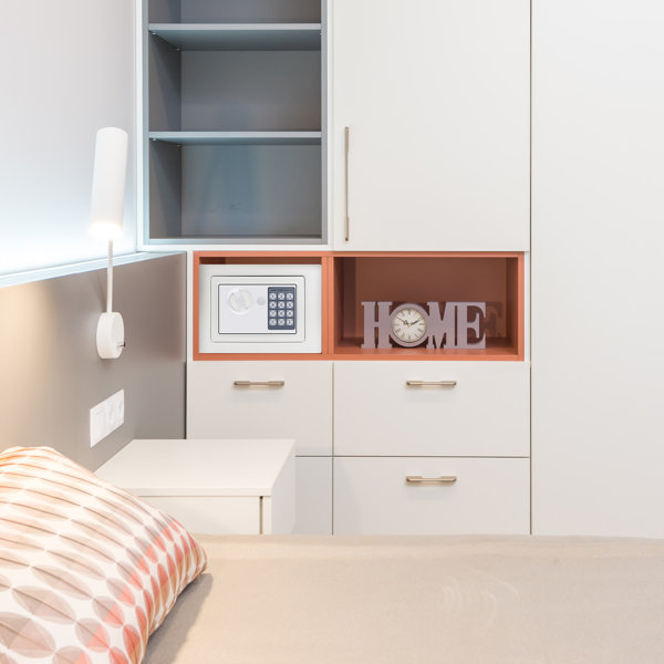 Symple Stuff Dual Lock Safe 0.2 CuFt | Wayfair.co.uk