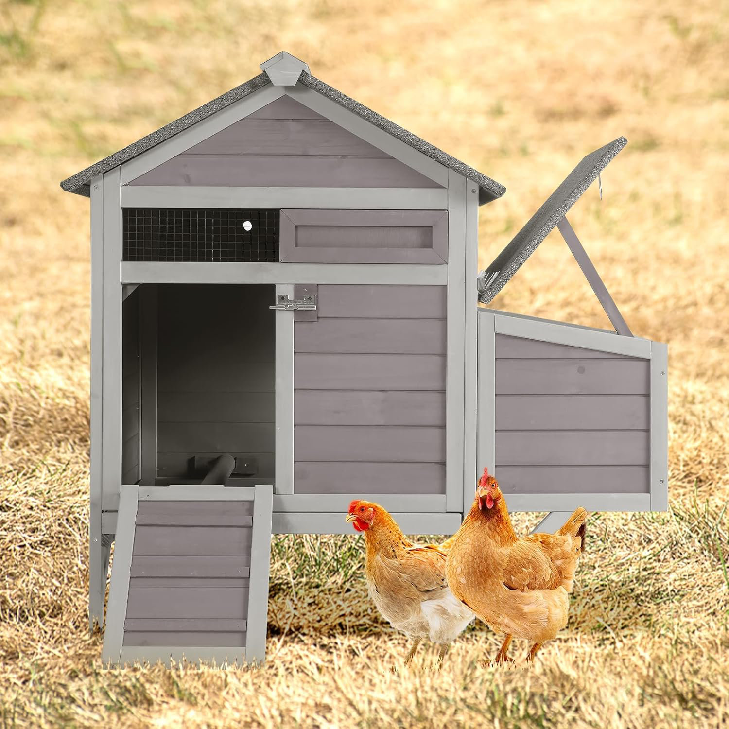Archie & Oscar™ Chicken Coop For 2 Chickens Home Ues Outdoor Small ...