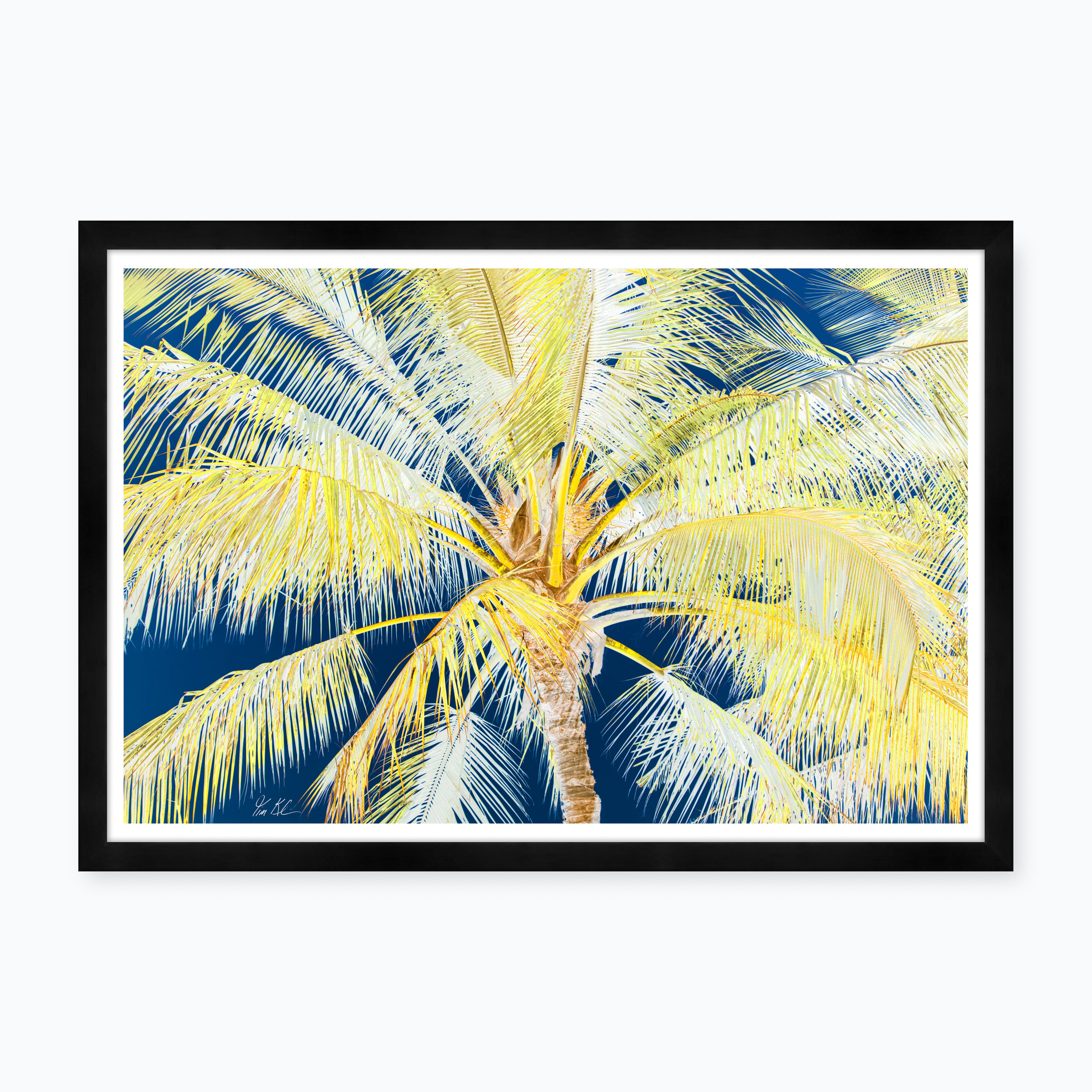 Tim Klein Photography Tropical Palm in Yellow/Blue/White by Tim Klein ...
