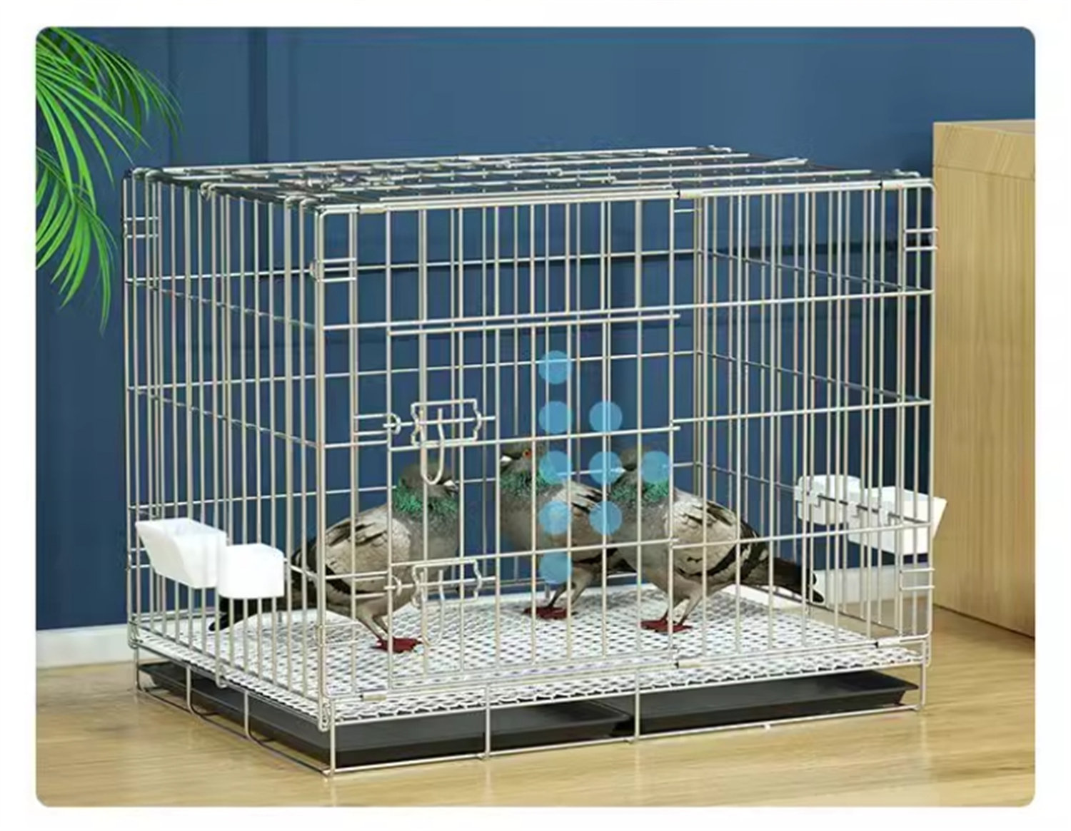 Tucker Murphy Pet™ Luxury Parrot Cage - Specialized For Grey Parrots ...