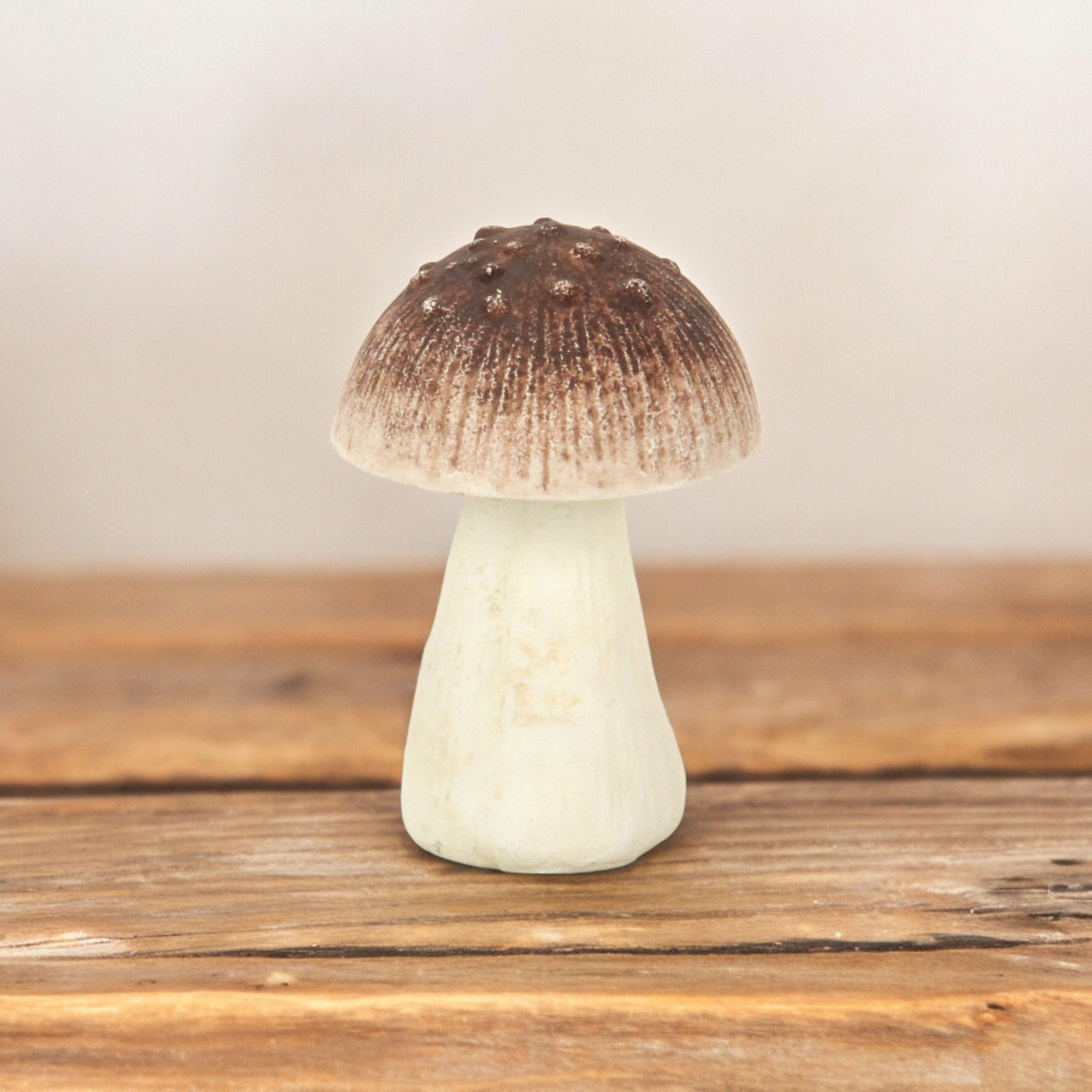 August Grove® Cliffes Cast Iron Mushroom Decor | Wayfair