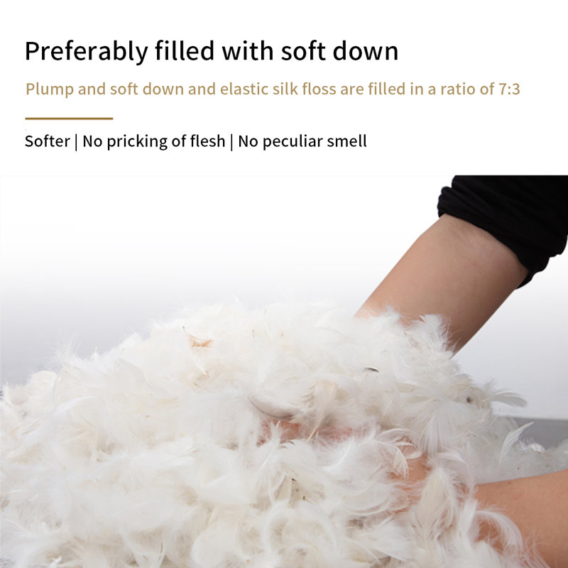 HarmonyFurns Ultra deep sitting wide movable back cloud sofa | Wayfair