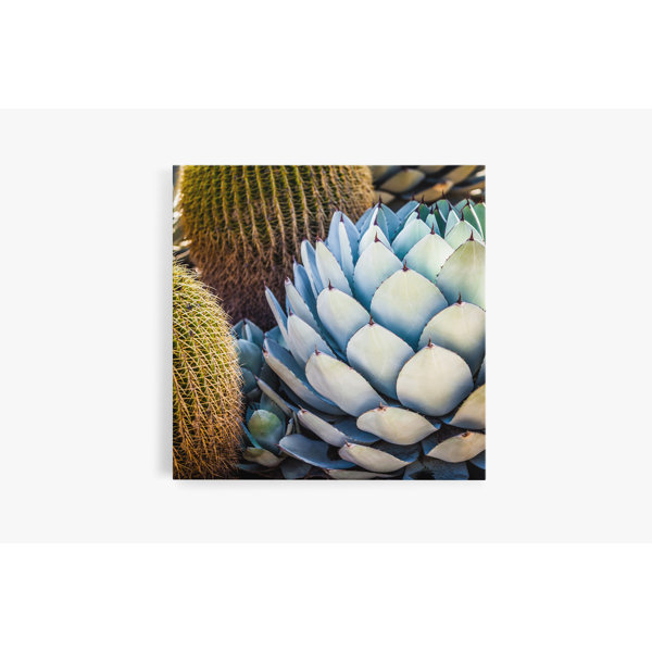 Latitude Run® Agave & Cactus Canvas - Wayfair Canada
