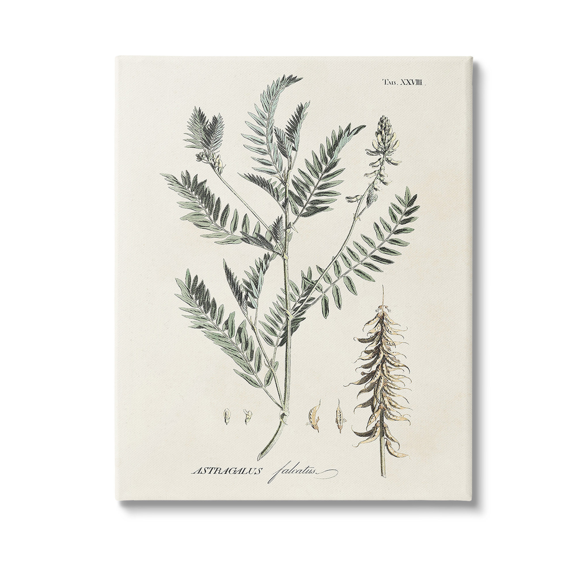 Red Barrel Studio® Woodland Leaf Study Canvas Wall Art Design By ...