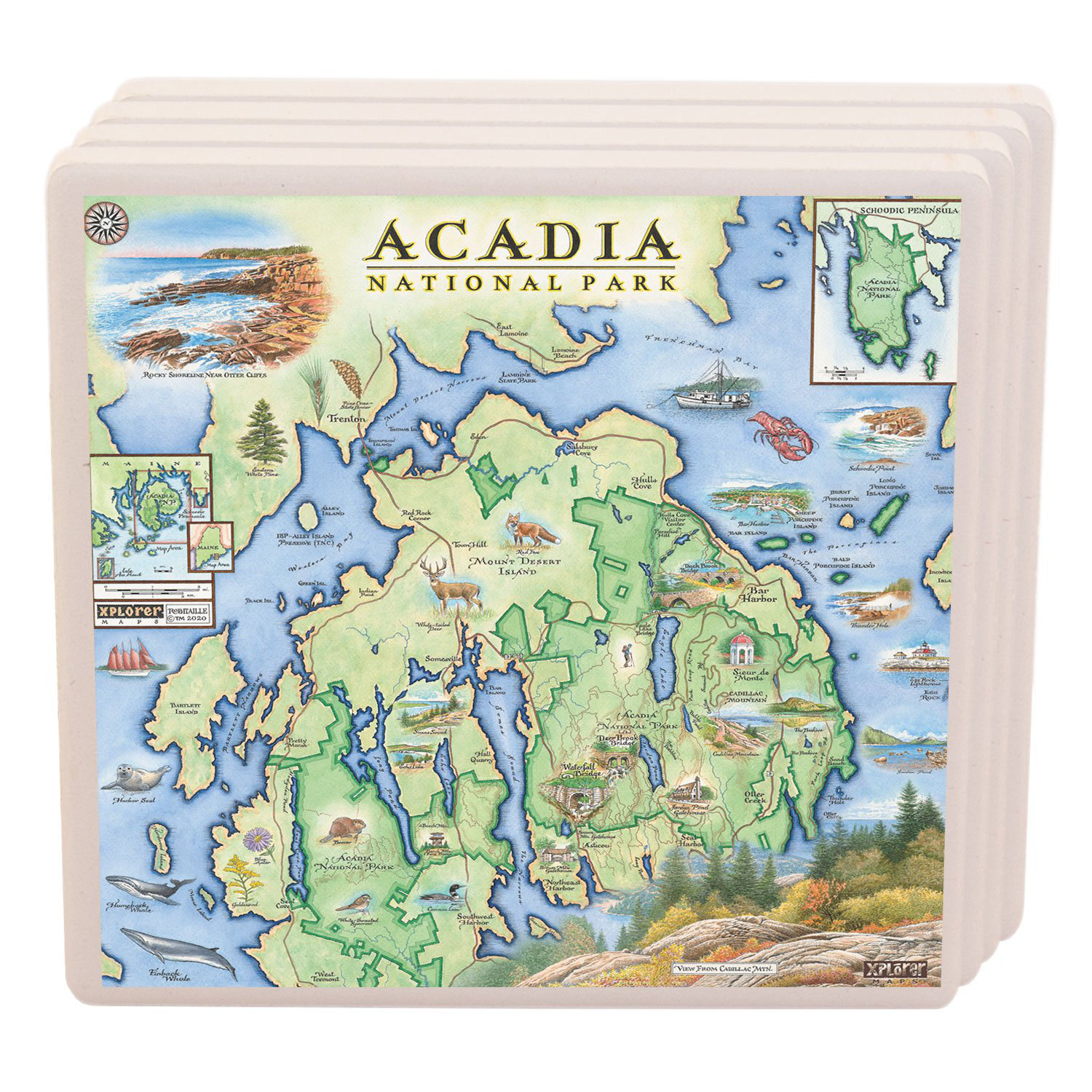 XPLORER MAPS Acadia National Park Ceramic Coaster | Wayfair