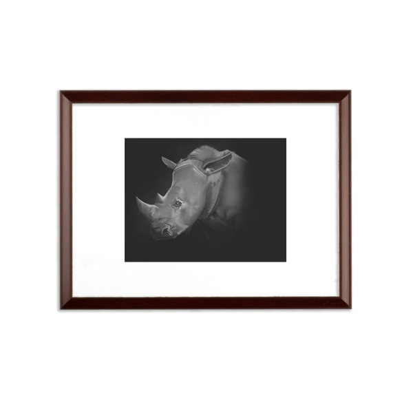 Bungalow Rose " Rhino " by Ansel Adams - Wayfair Canada