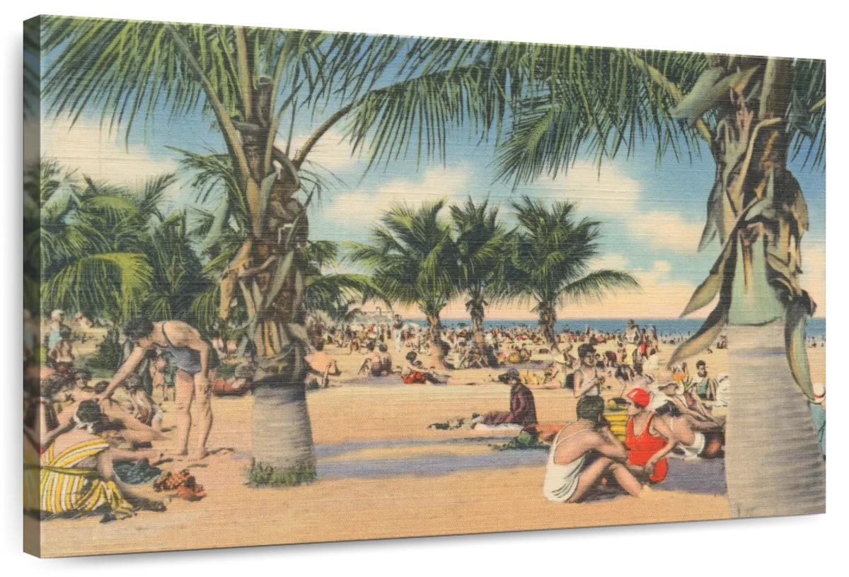Elephant Stock Beach Postcard VI | Wayfair